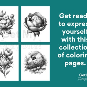 Sleeping Birds Coloring Pages, for Adults, Teens, and Kids 20 Digital ...