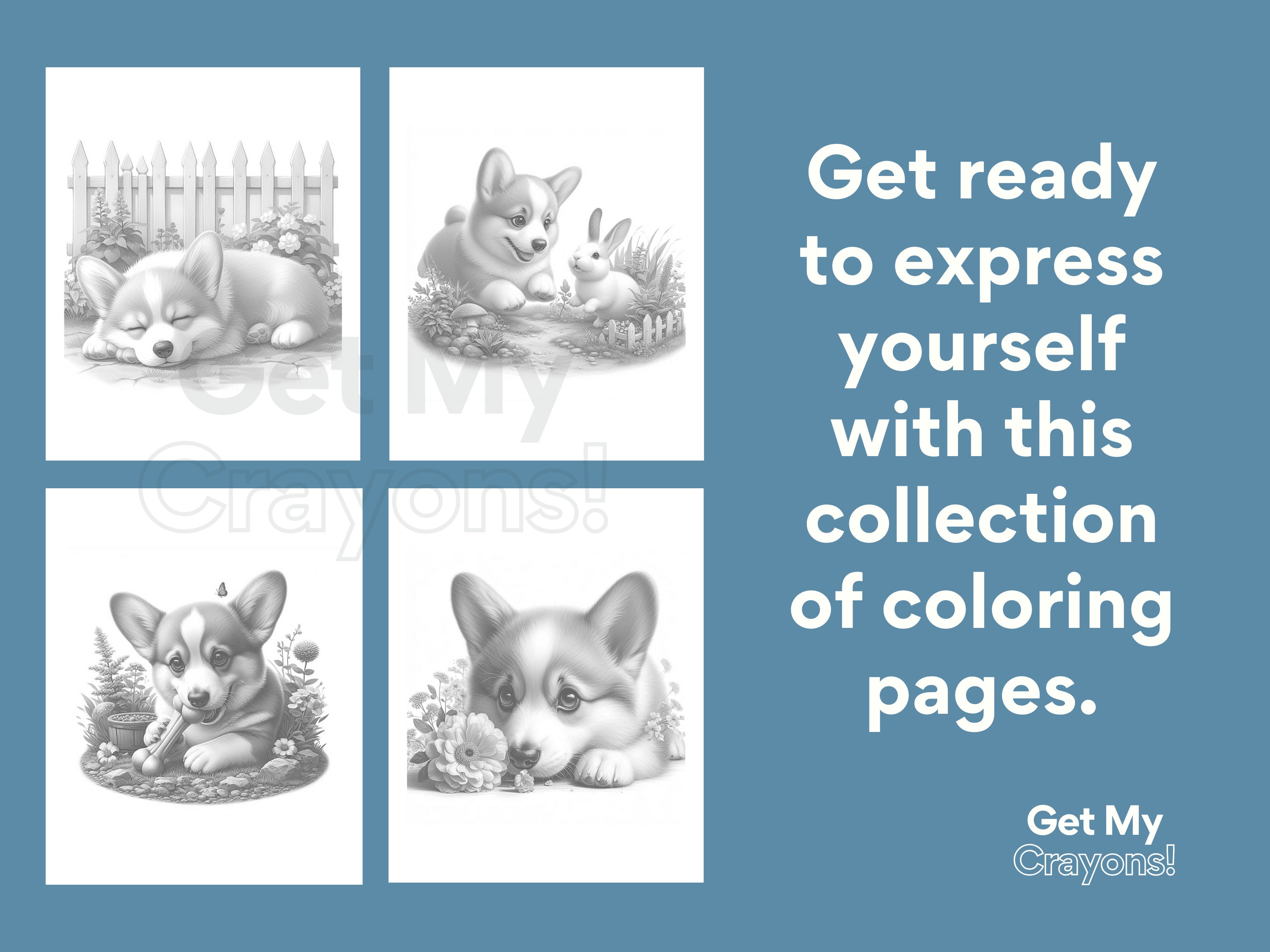Corgis Coloring Pages for Adults Teens Kids and Girls 20 Greyscale ...