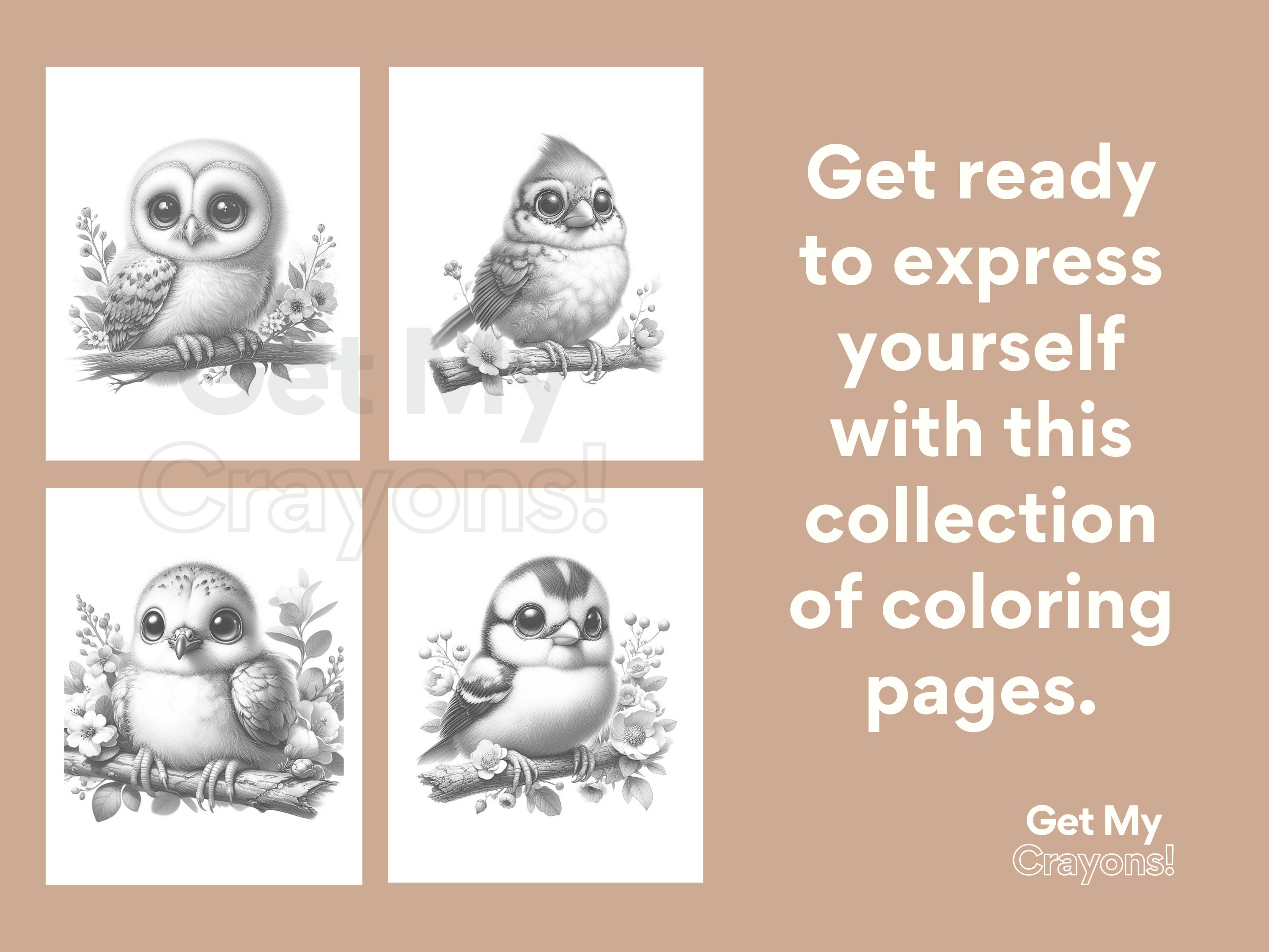 Adorable Baby Birds Coloring Pages for Adults 20 Greyscale Pages to ... Adorable Baby Birds Coloring Pages for Adults 20 Greyscale Pages to ...