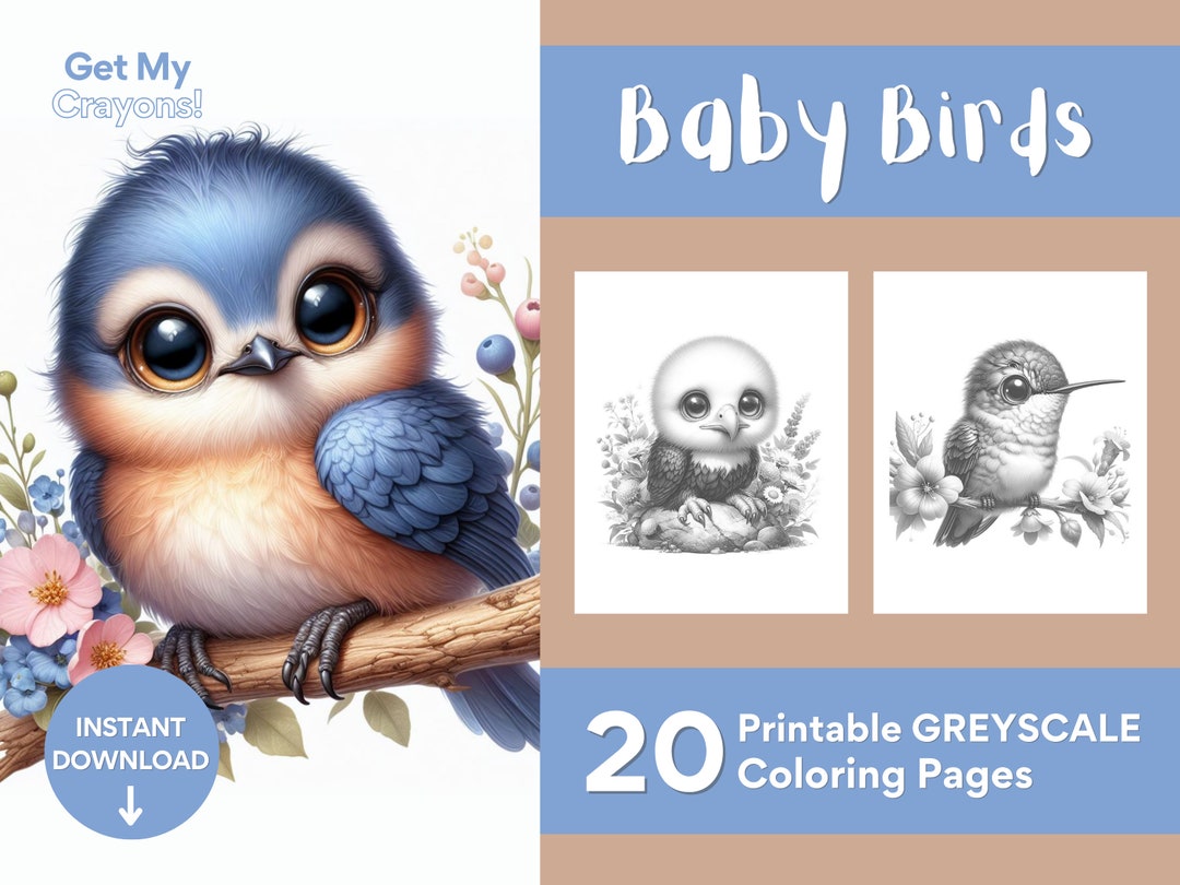 Adorable Baby Birds Coloring Pages for Adults 20 Greyscale Pages to ... Adorable Baby Birds Coloring Pages for Adults 20 Greyscale Pages to ...