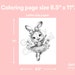 Ballerina Animals Coloring Pages for Adults Teens & Kids 20 Digital ...