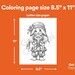 The Hippie Gnome Vol 2 Coloring Pages for Adults Teens & Kids 20 ...