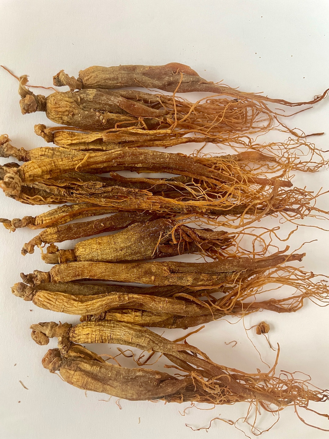 Red Ginseng Root | Big Red Ginseng | Whole Panax Ginseng | Big Ginseng ...