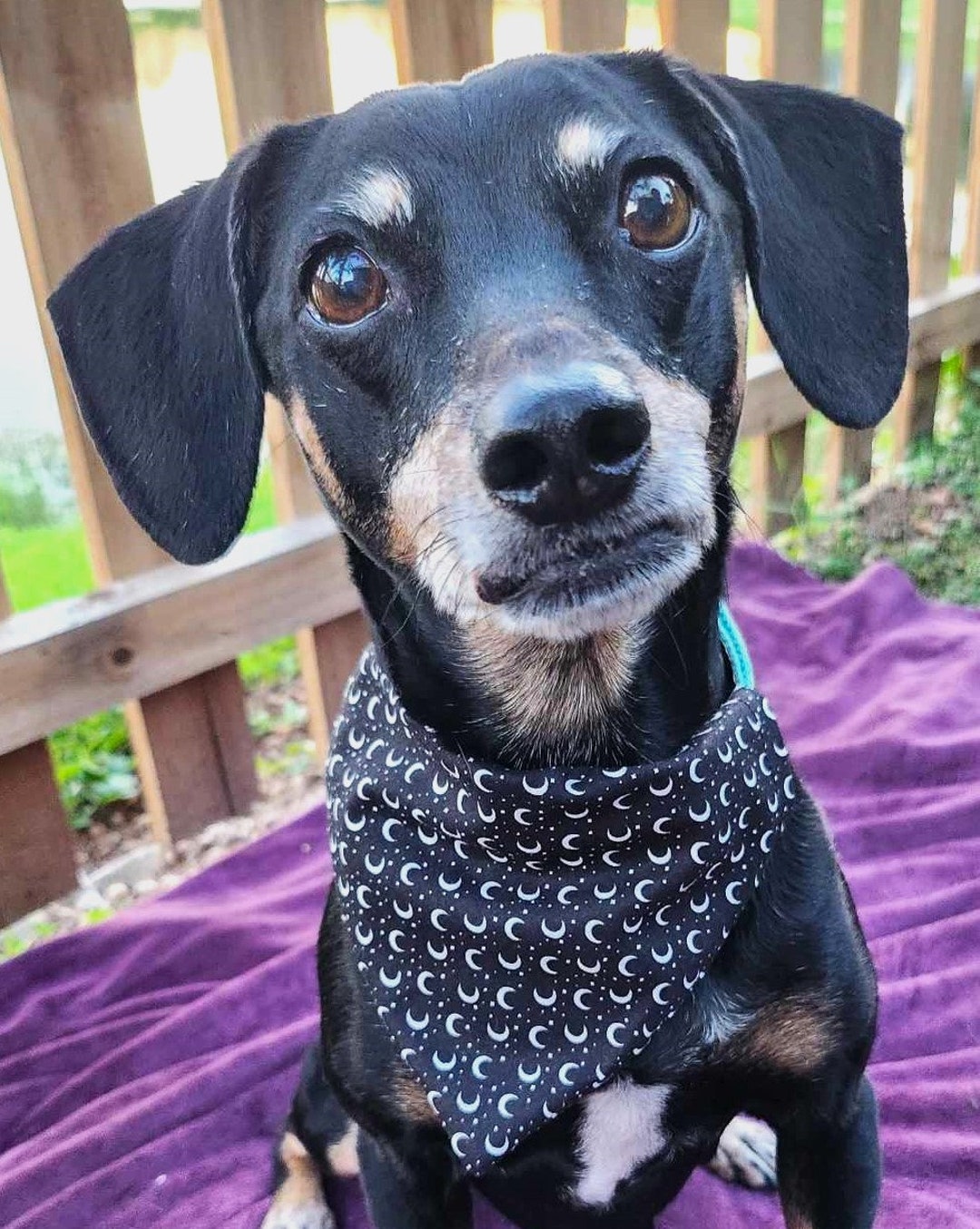 Many Moons Ago Bandana - Etsy