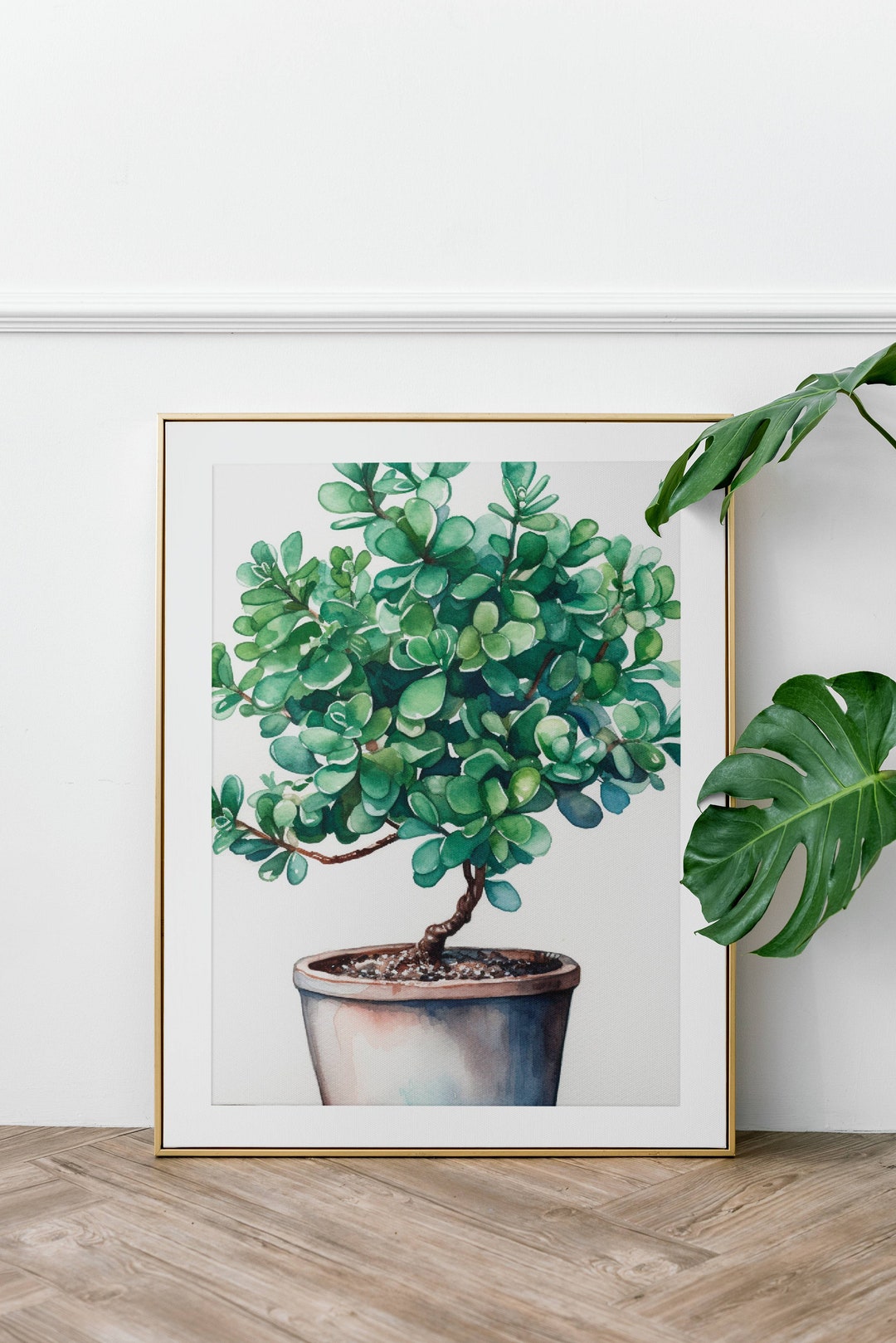 Watercolor Jade Plant, Botanical Art Digital Download - Etsy