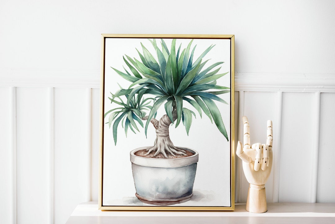 Watercolor Dragon Tree, Digital Download Botanical Art - Etsy