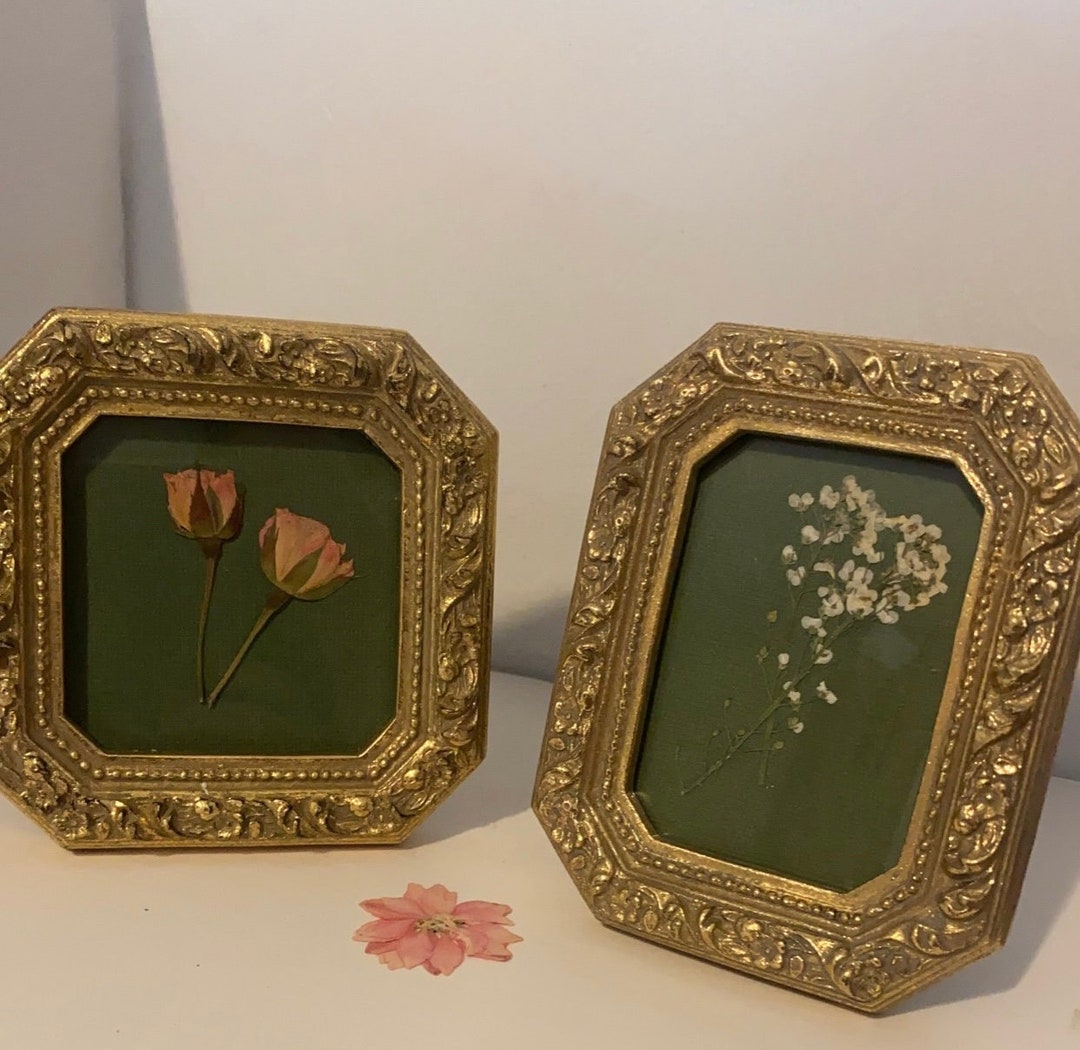 Gold Antique Style Ornate Vintage Frames Pressed Flower Art in Green ...