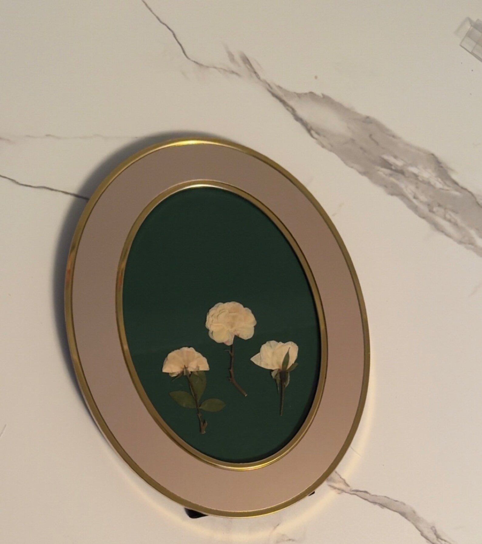 Antique Style Oval Ornate Vintage Frames Pressed Fruit Flower Art in ...