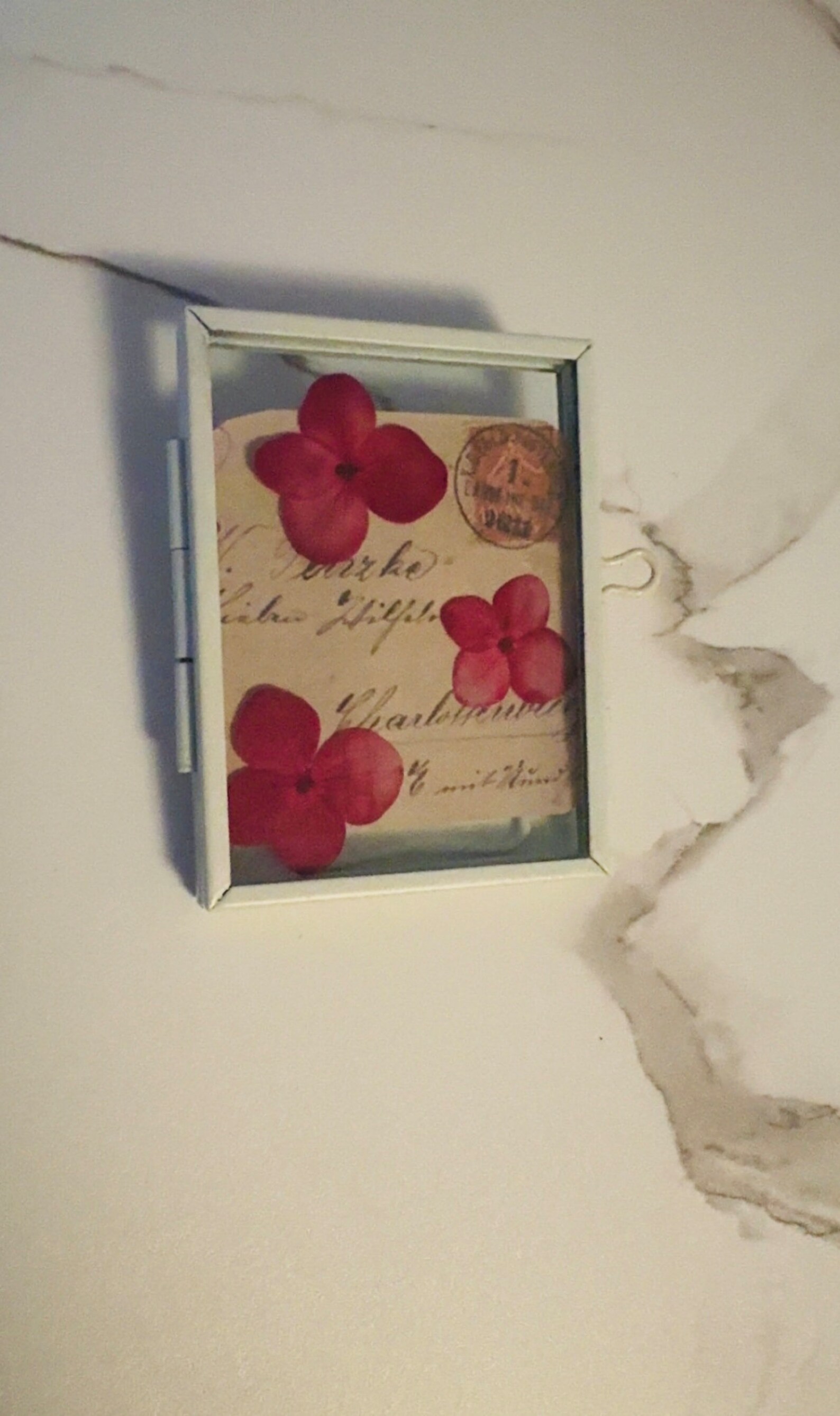 Pocket Sized Mini White Glass Frame Miniature Pressed Flower Fruit Art ...