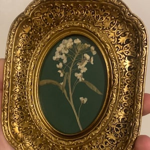 Gold Antique Italian Baroque Style Ornate Frame Pressed Flower Fine Art ...