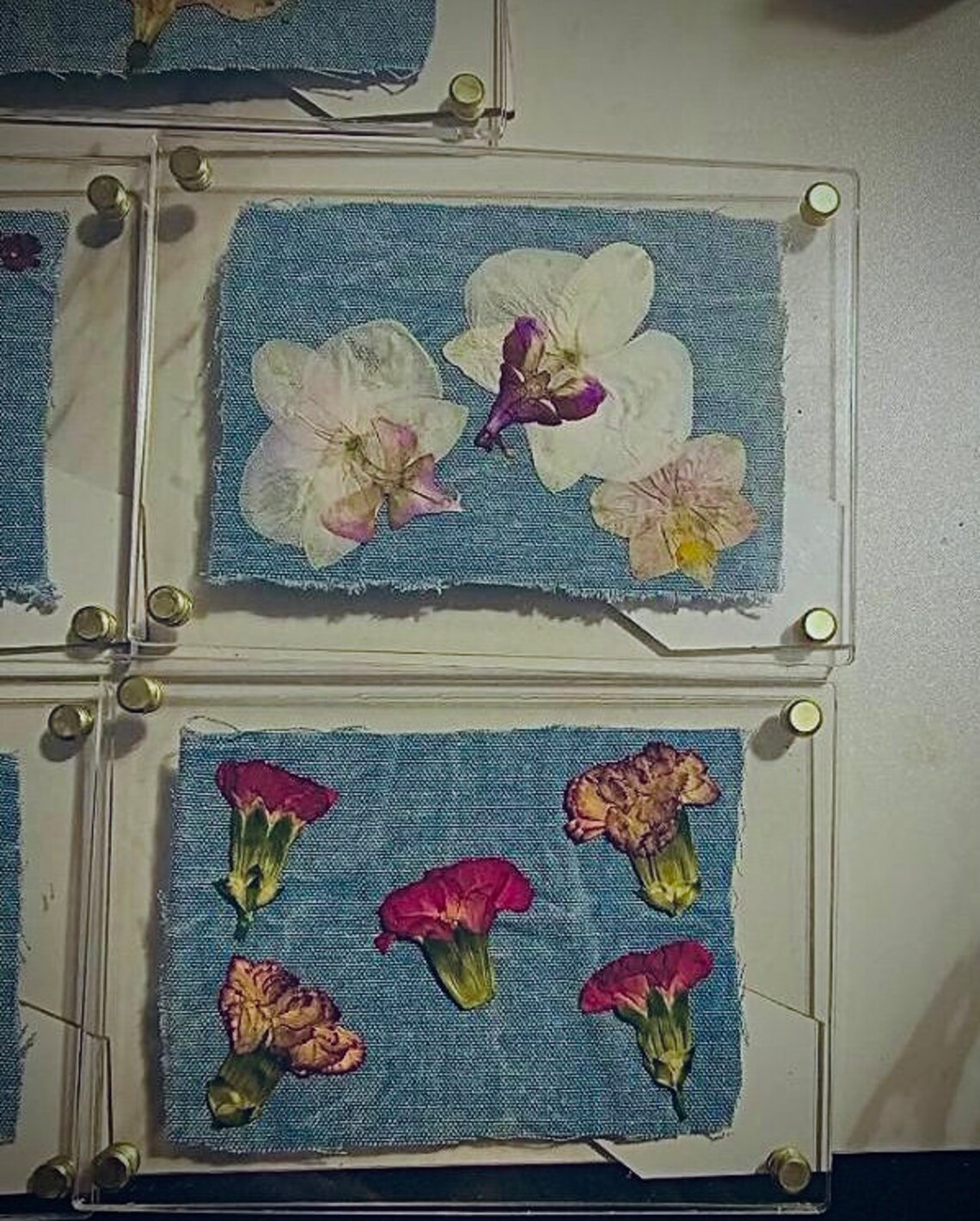 Gold Floating Frames Denim Fabric Pressed Orchids Carnations Lilies ...