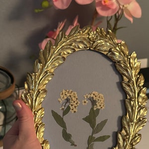 Gold Antique Old World Style Ornate Vintage Frame Pressed Flower Fine ...