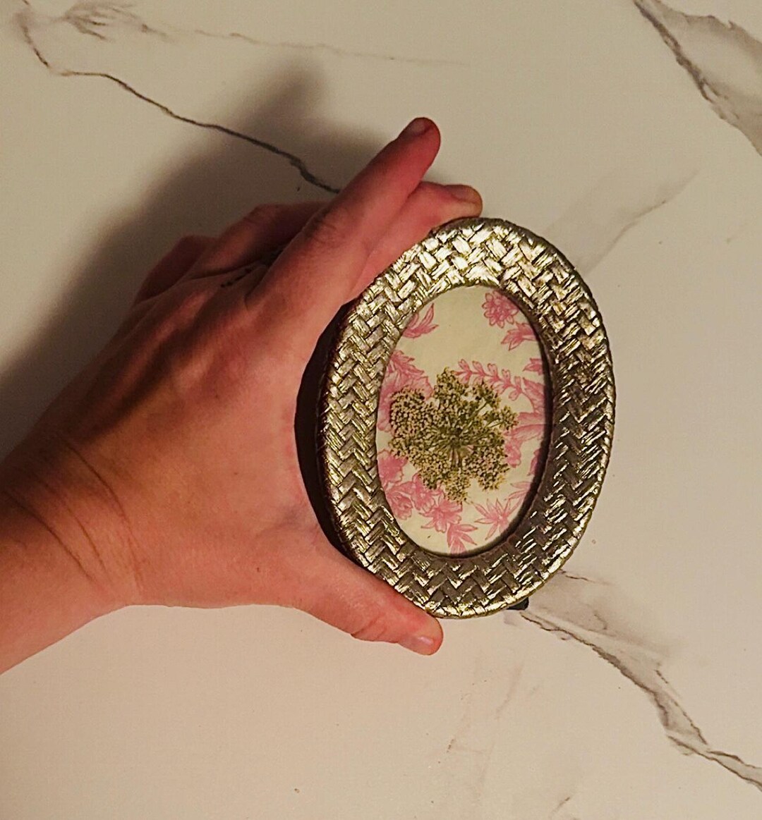 Silver Antique Style Oval Textured Frame Pink Chinoiserie Background ...