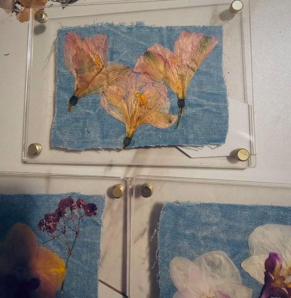 Gold Floating Frames Denim Fabric Pressed Orchids Carnations Lilies ...