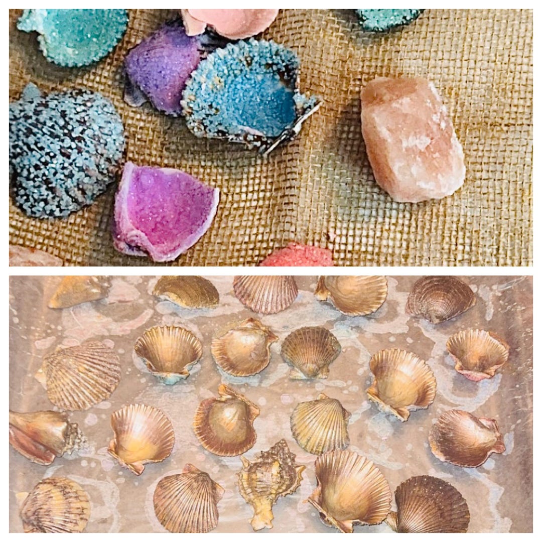 Hand Painted Crystal Sea Shells Authentic Sea Shells Hand Crafted Gifts ...