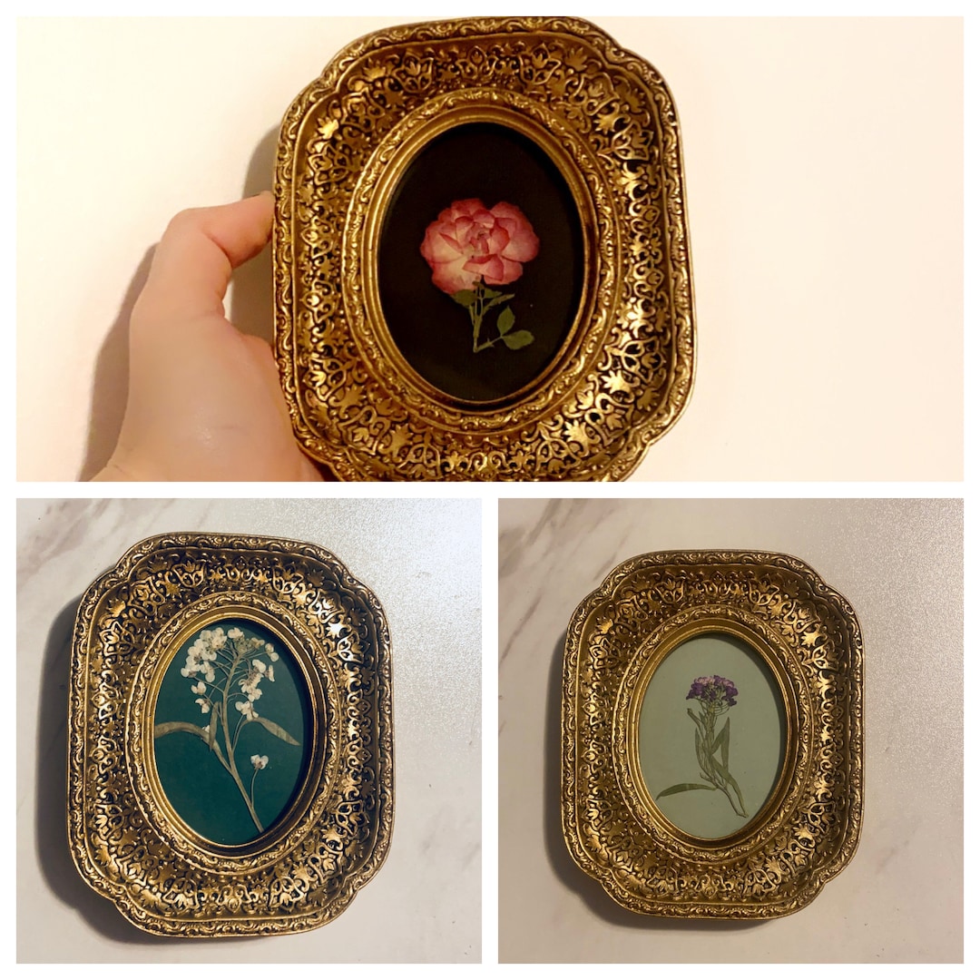 Gold Antique Italian Baroque Style Ornate Frame Pressed Flower Fine Art ...