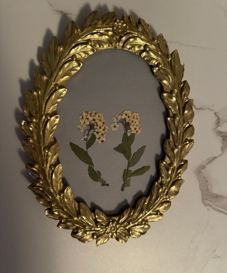 Gold Antique Old World Style Ornate Vintage Frame Pressed Flower Fine ...