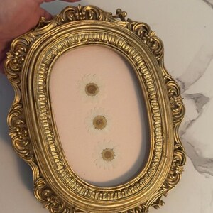 Gold Antique Style Ornate Vintage Frame Pressed Flowers With Multiple ...