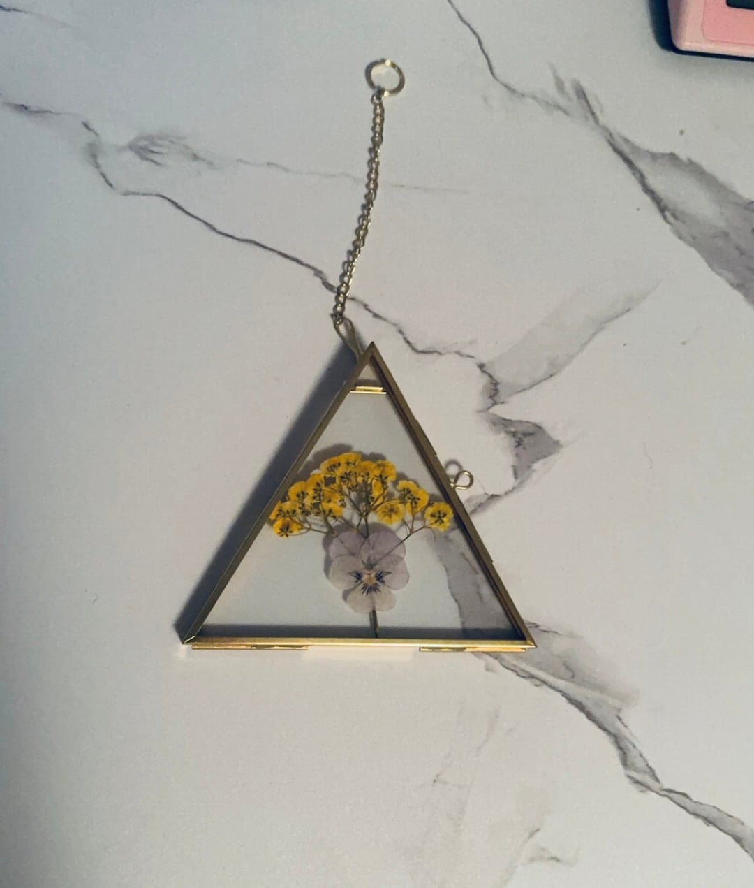 Modern Triangular Flower Gold Glass Floating Frame Minimalist Pressed ...