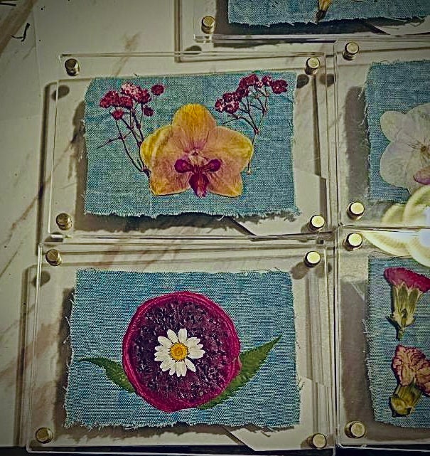 Gold Floating Frames Denim Fabric Pressed Orchids Carnations Lilies ...