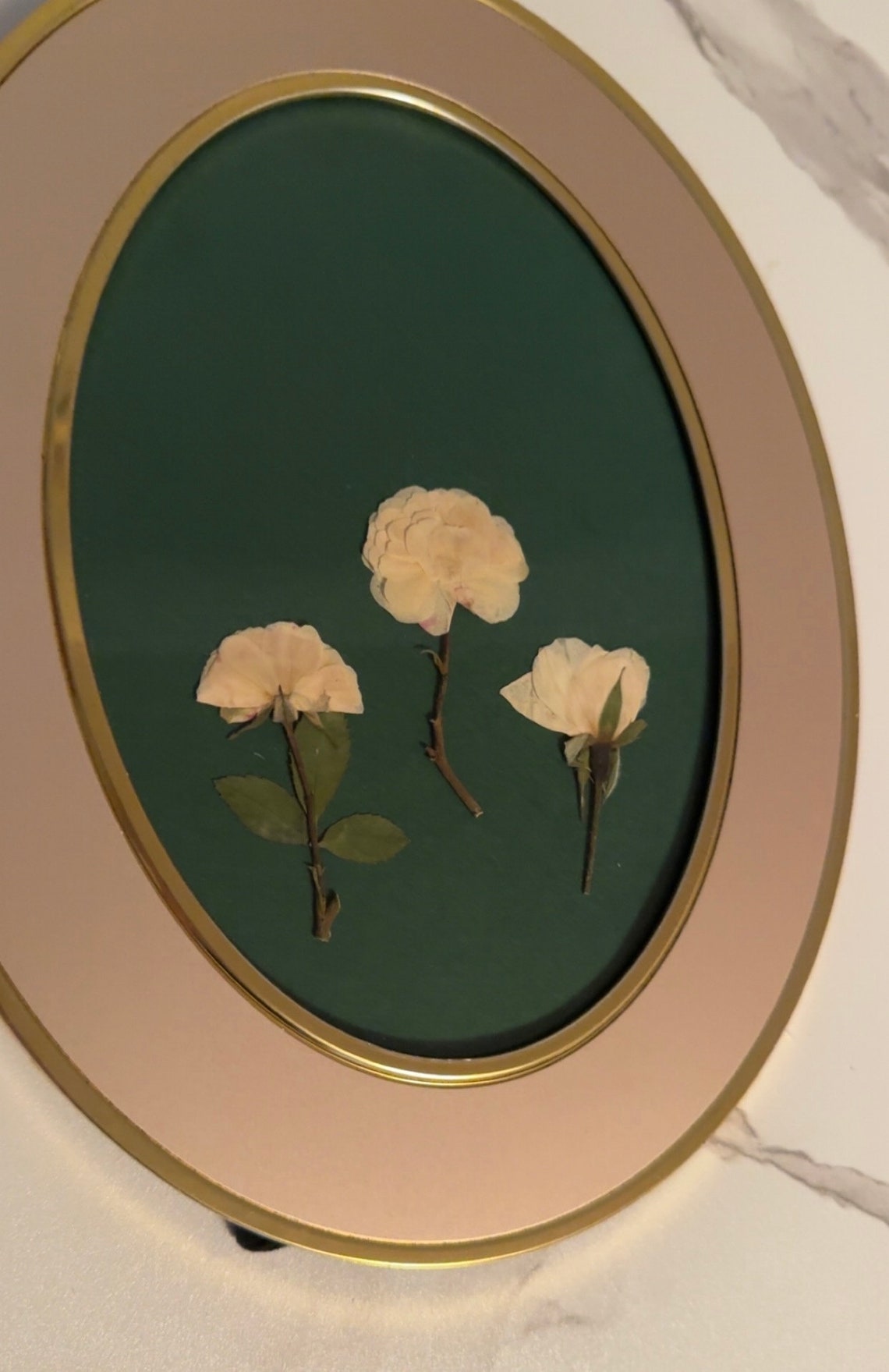 Antique Style Oval Ornate Vintage Frames Pressed Fruit Flower Art in ...