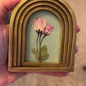 Modern Antique Brass Arch Frame Pressed Begonia Arrangement Green Gold ...