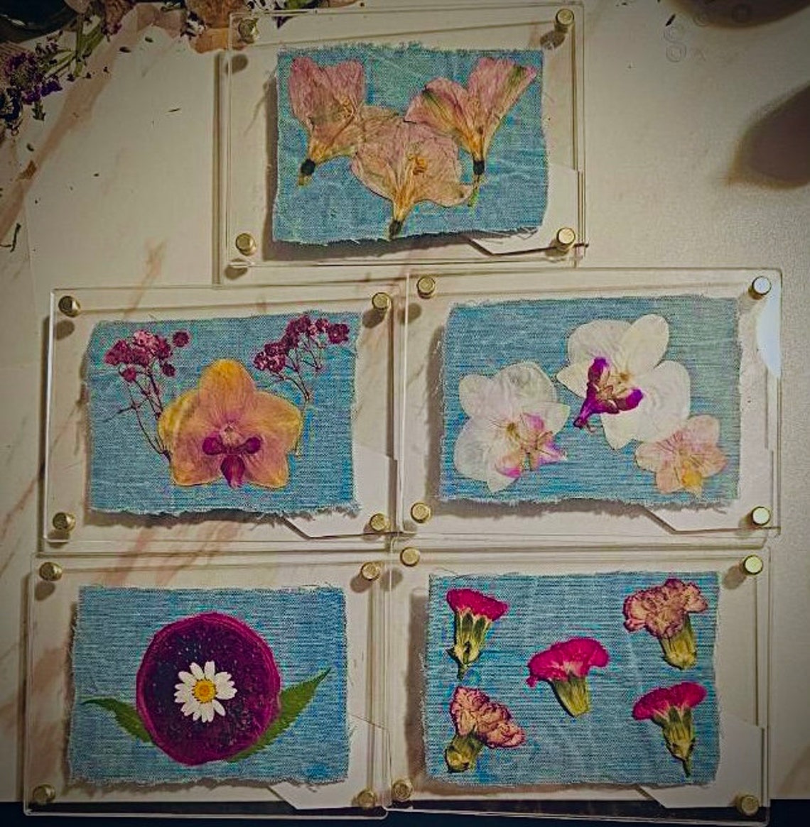 Gold Floating Frames Denim Fabric Pressed Orchids Carnations Lilies ...