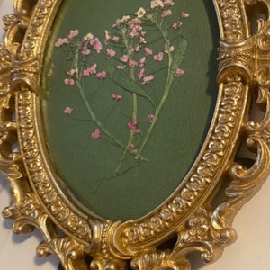 Gold Antique Italian Baroque Style Ornate Vintage Frames Pressed Flower ...