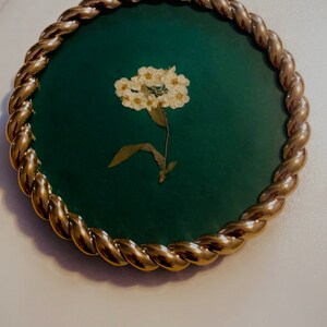 Gold Antique Style Round Ornate Vintage Rope Frame Pressed Flower Art ...