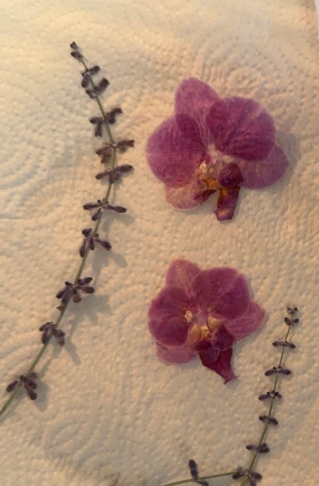 Woven Seagrass Frame With Pressed Orchids Orchid Wall Decor Pressed ...