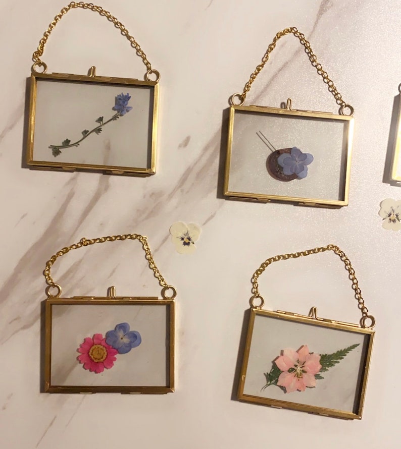 Fruity Flower Mini Gold Glass Frames Miniature Pressed Flower Fruit Art ...