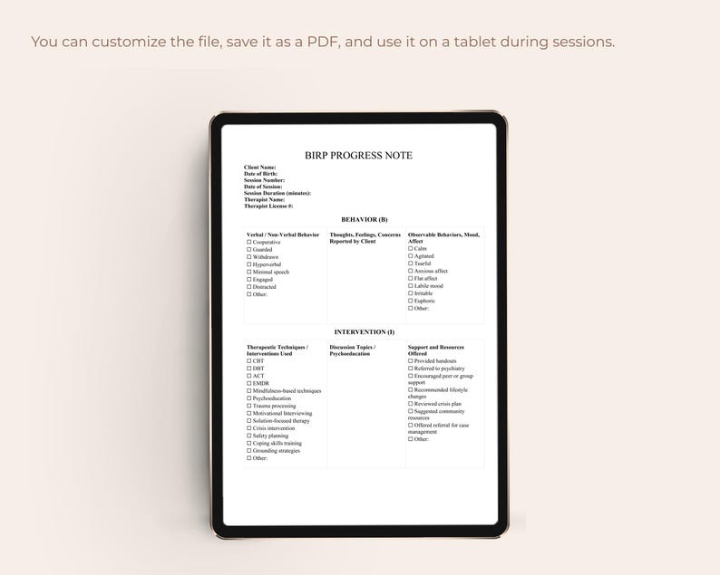 BIRP Progress Note Template for Therapists Counselors Editable Word ...