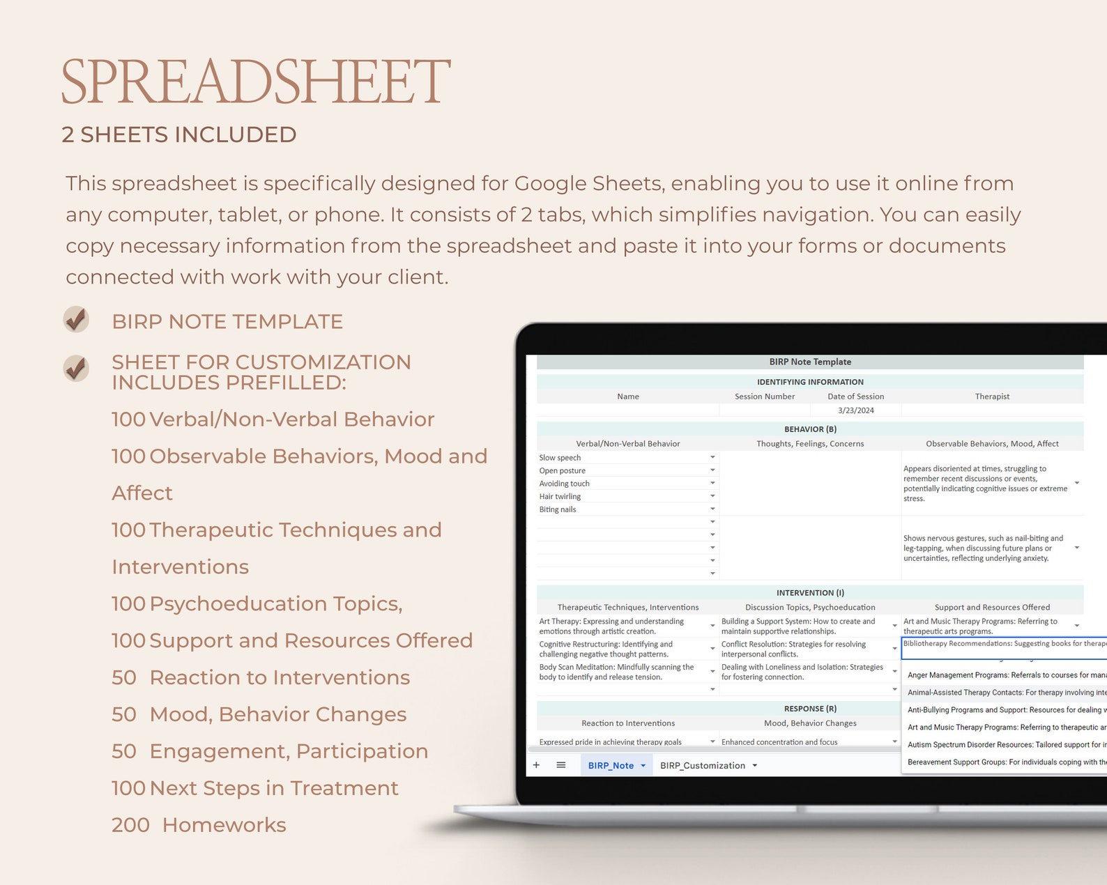 BIRP Note Template, Therapist Templates, Therapist, Psychology Therapy ...