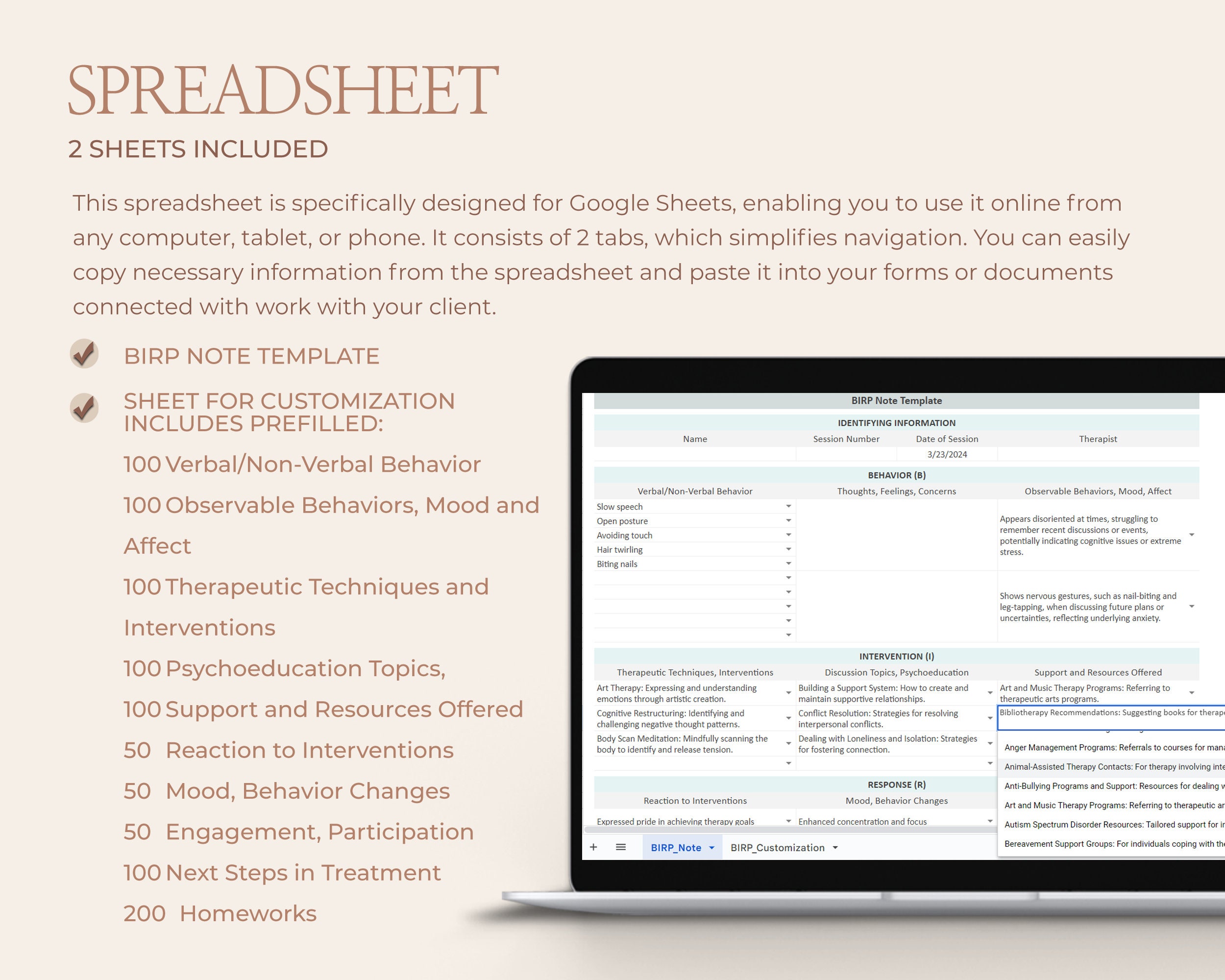 BIRP Note Template, Therapist Templates, Therapist, Psychology Therapy ...