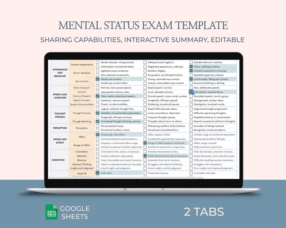 Mental Status Exam, MSE Spreadsheet, Mental Status Assessment ...