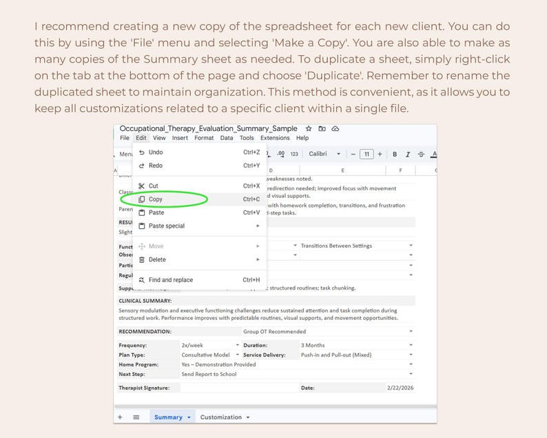Pediatric OT Evaluation Template Google Sheets School Based ...