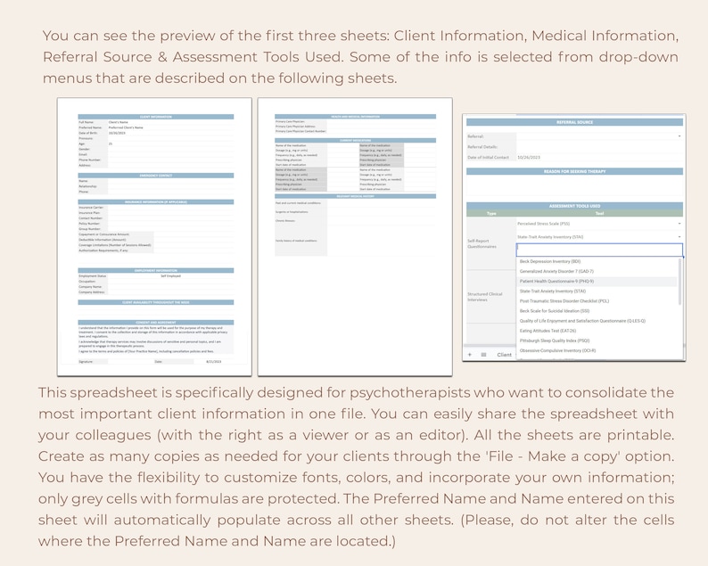 Therapy Caseload Planner, Psychology Planner, Therapy Template ...
