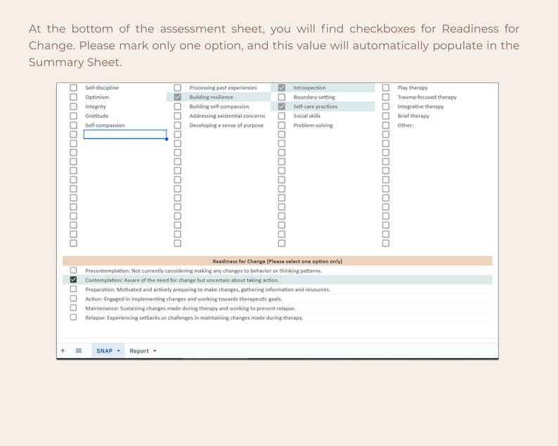 SNAP Assessment Template, Counseling Snap Assessment, Mental Health ...