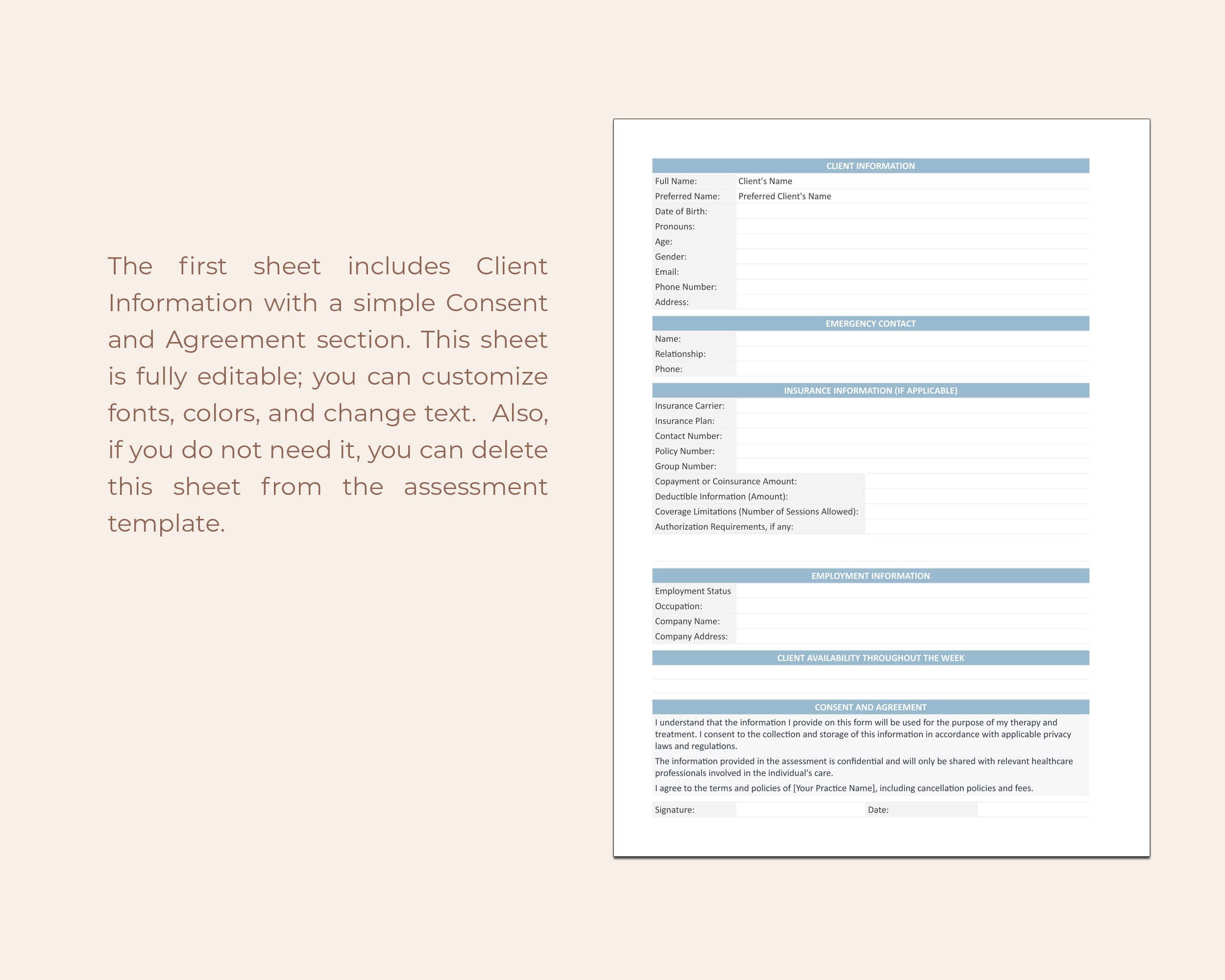 Biopsychosocial Assessment Spreadsheet, Psychotherapist Tool ...