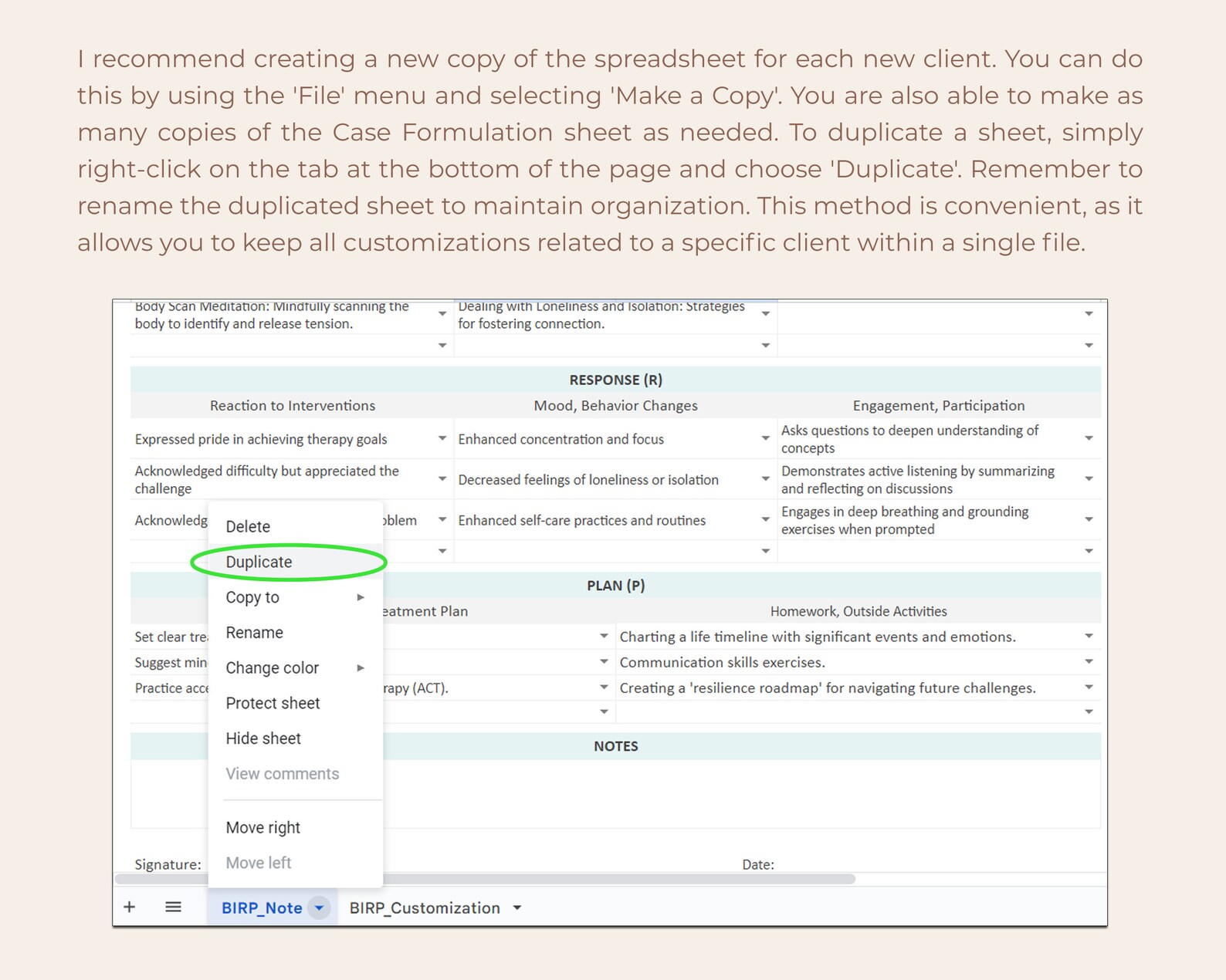 BIRP Note Template, Therapist Templates, Therapist, Psychology Therapy ...