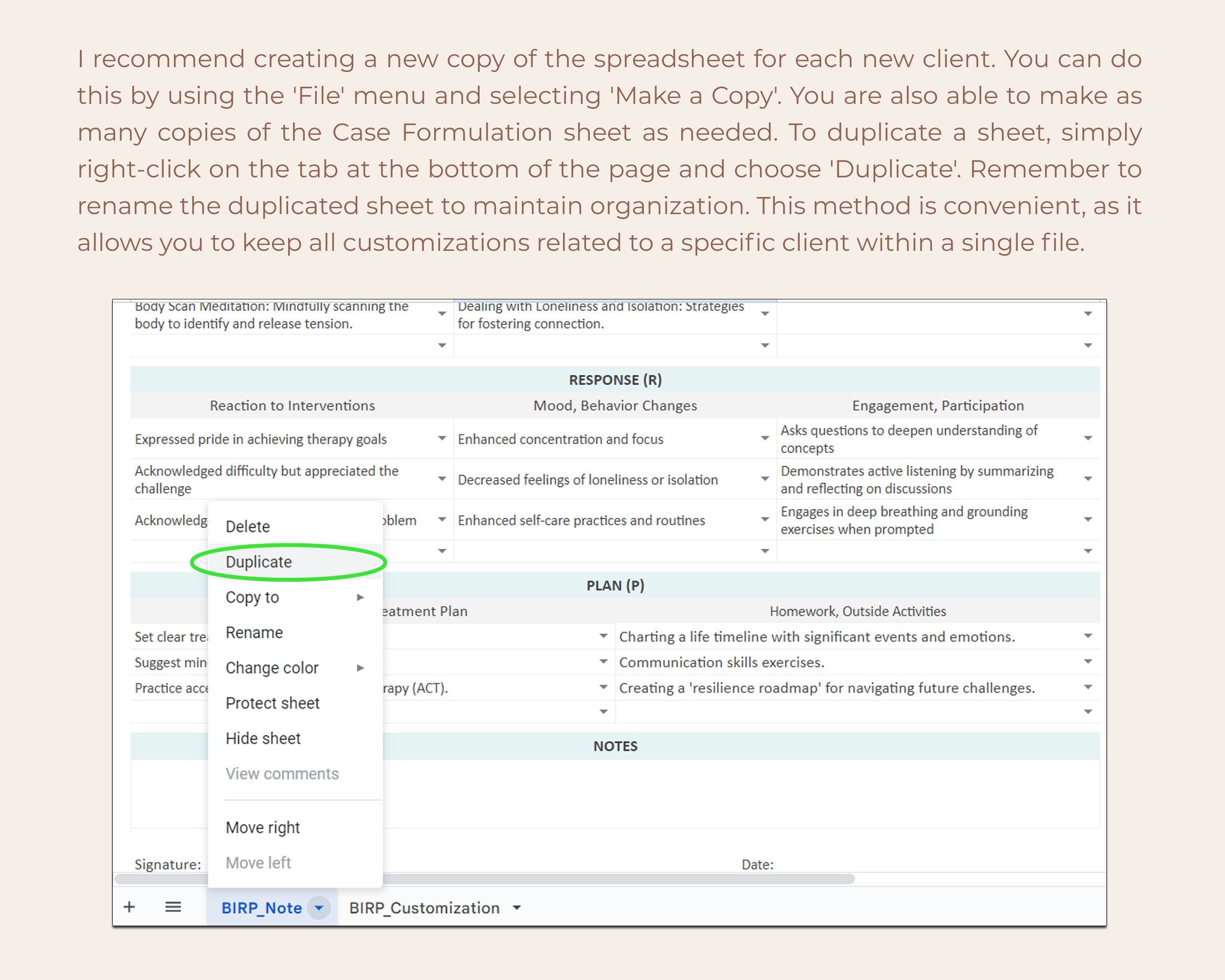 BIRP Note Template, Therapist Templates, Therapist, Psychology Therapy ...