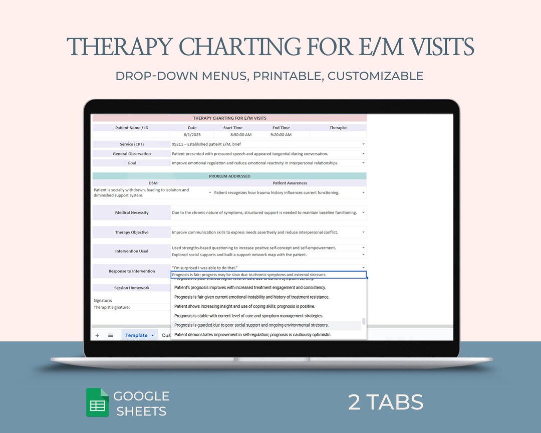 PMHNP Template Charting Spreadsheet Mental Health Notes Therapy ...