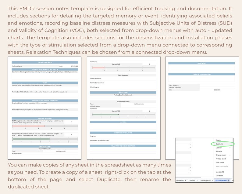 EMDR Session Notes Template, Therapy Planner Spreadsheet, EMDR Therapy ...