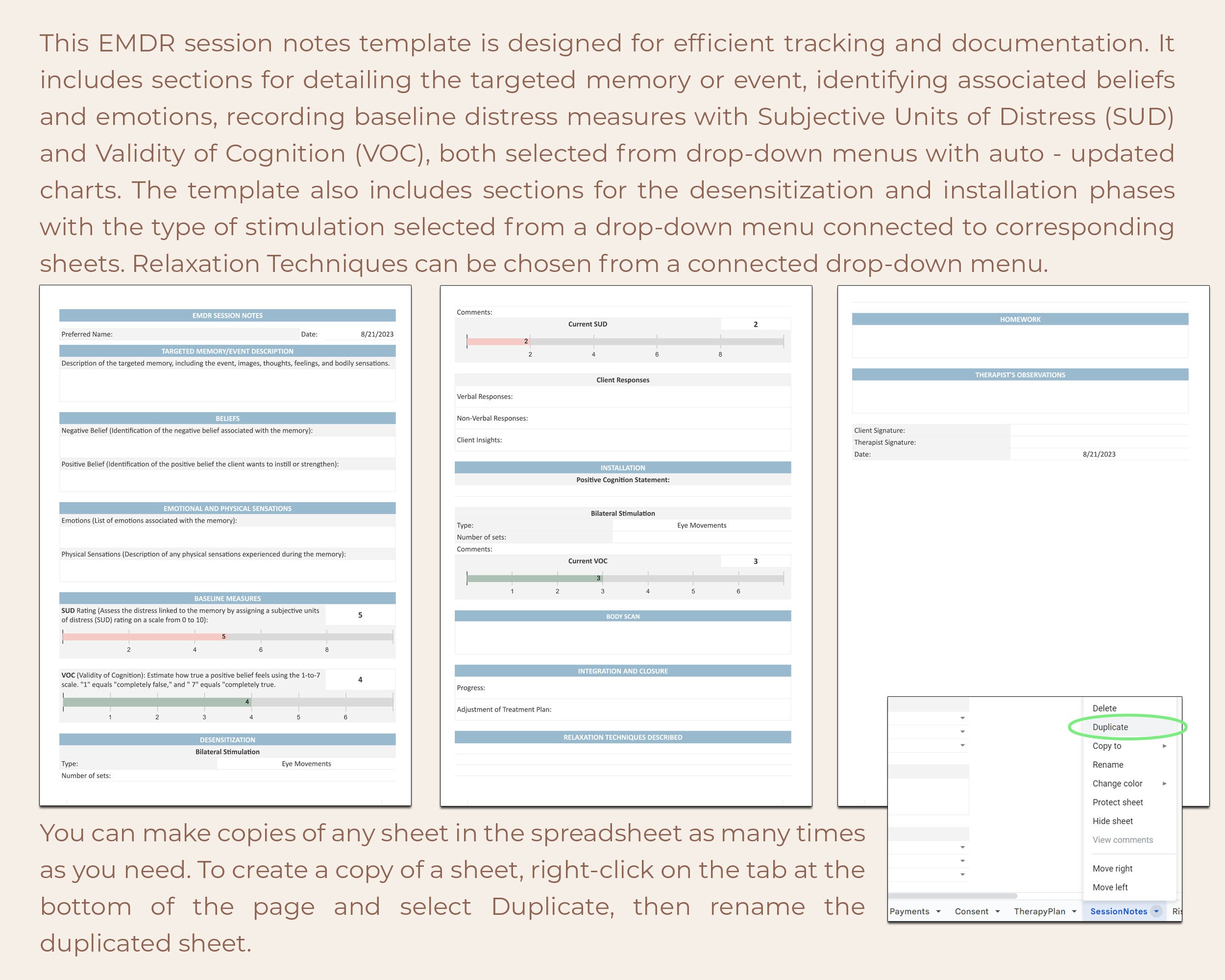 EMDR Session Notes Template, Therapy Planner Spreadsheet, EMDR Therapy ...