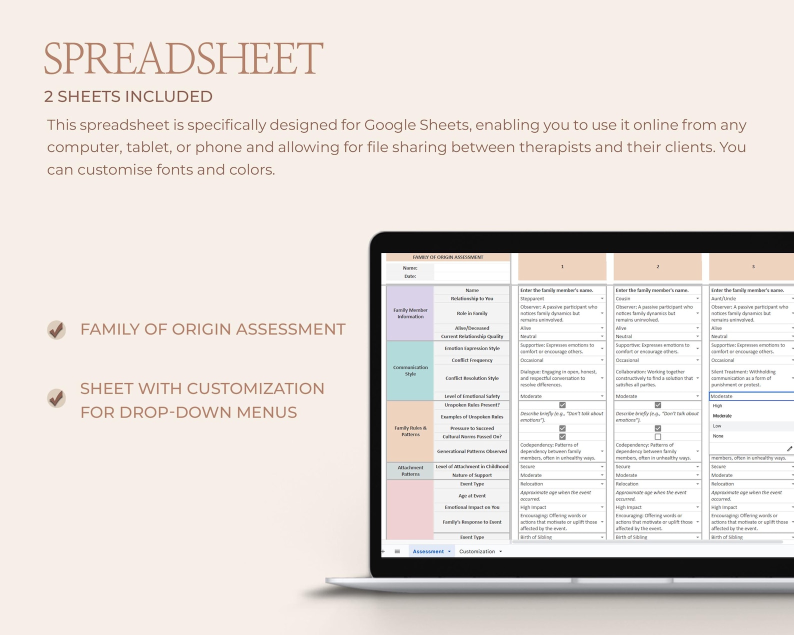 Family Therapy Assessment Family of Origin Worksheet Counseling Tool Origin Assessment Guide ...