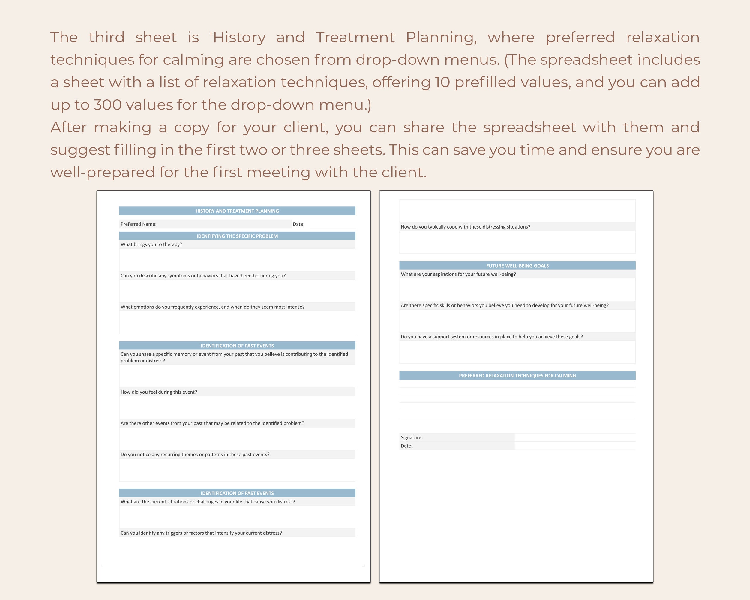 EMDR Session Notes Template, Therapy Planner Spreadsheet, EMDR Therapy ...