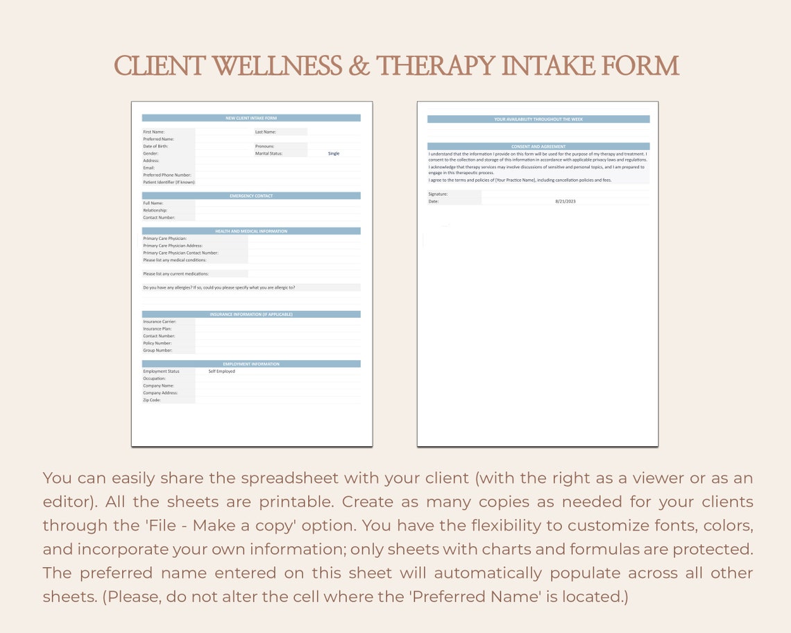 Treatment Plan Template, Spreadsheet for Therapists, Goals ...