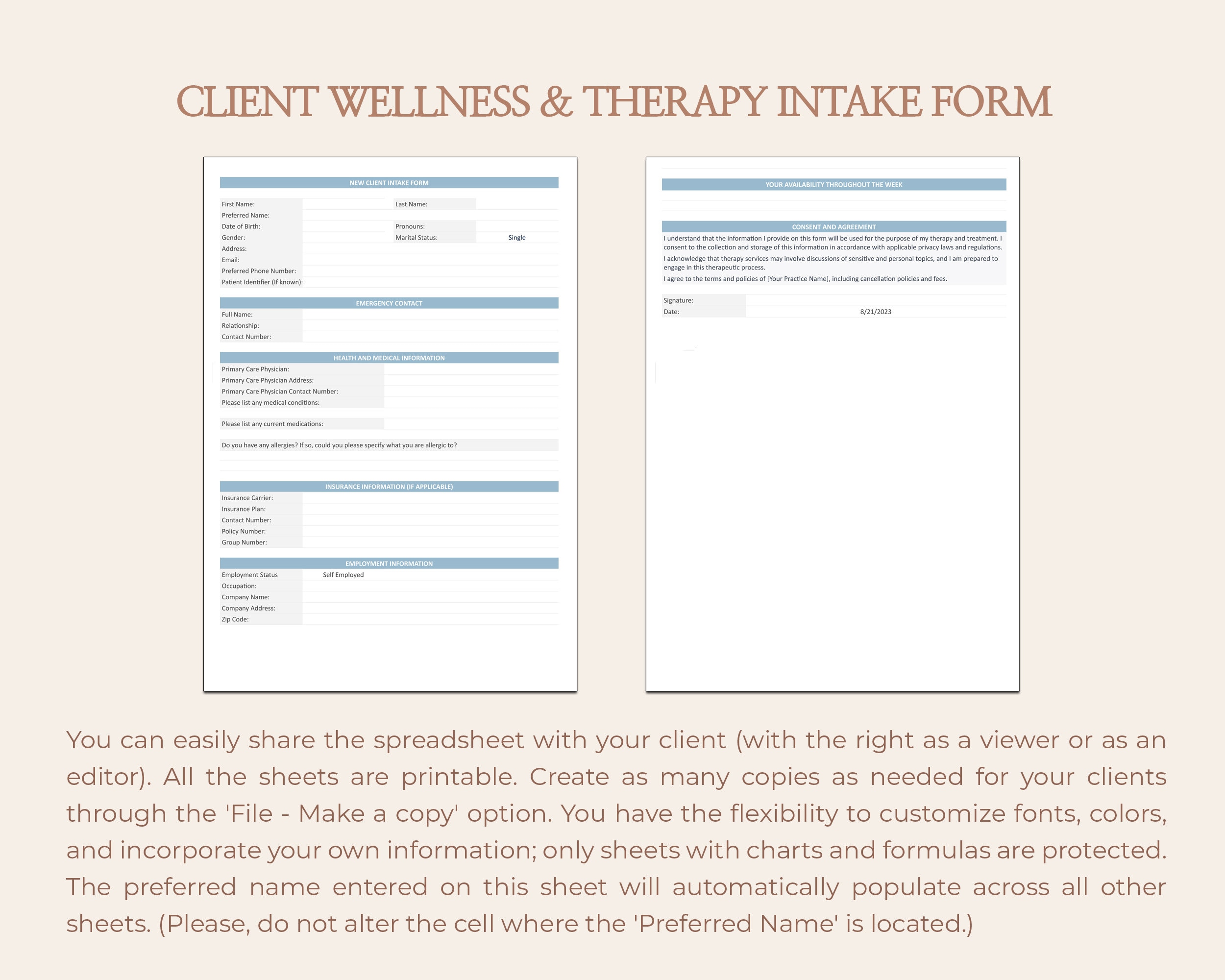 Treatment Plan Template, Spreadsheet for Therapists, Goals ...