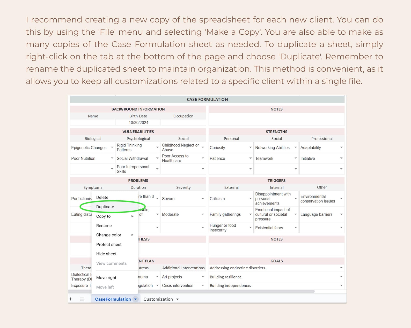 Case Conceptualization, Psychology Therapy Plan, Therapist Templates ...