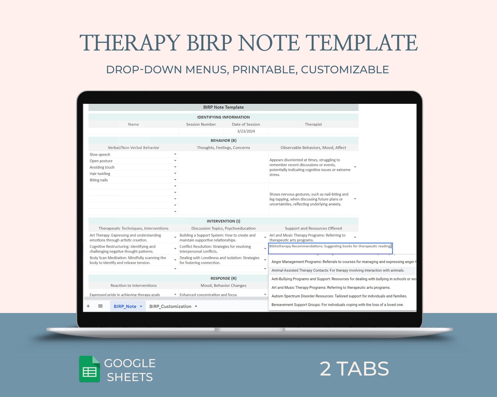 BIRP Note Template, Therapist Templates, Therapist, Psychology Therapy ...